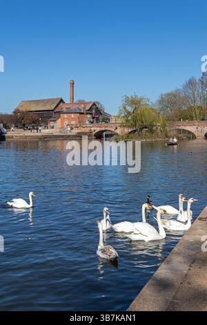 Cox's Yard and The Old Tramway Bridge, River Avon, Stratford-upon-Avon ...