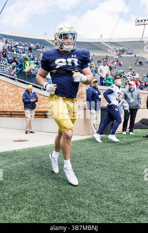 Notre Dame running back Aneyas Williams (22) rushes for a touchdown during the fourth quarter of ...