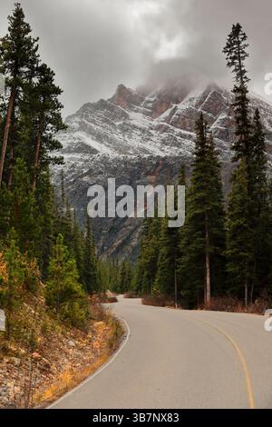 Road to Edith Cavell in Jasper National Park Stock Photo - Alamy