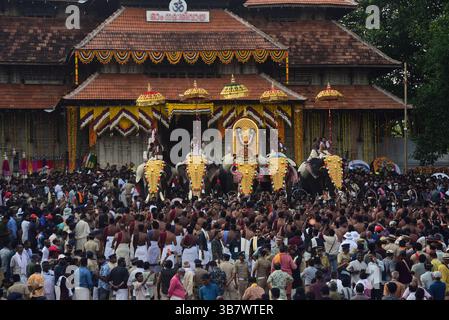 15 Elephants from Thiruvambadi temple arrive to face the 15 Elephants ...