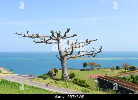 Cape Chinen Park in Southeastern Okinawa, Japan Stock Photo - Alamy