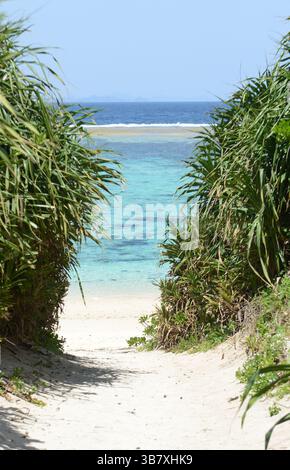 The beautiful Nagahama Beach in Okinawa, Japan Stock Photo - Alamy