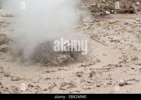 Bubbling mud pool near Ahuachapan, El Salvador Stock Photo - Alamy