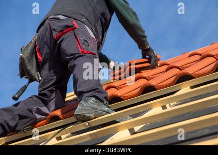 Dachdecker bei der Eindeckung eines Ziegeldaches *** Roofers installing ...