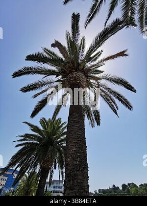 Croatia Zadar, Zara, Plitvice lake Stock Photo - Alamy