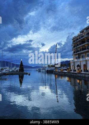 A tree decorated with festive garlands with luminous bulbs against the ...