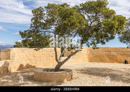Alicante: Castillo de Santa Bárbara y playa del Postiguet. Comunidad ...