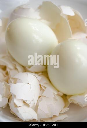 Crushed egg shells Stock Photo - Alamy