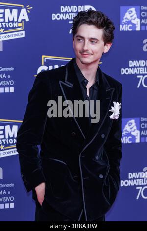 Timothee Chalamet 70th Edition David of Donatello Awards Red Carpet ...