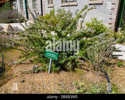 Geological Garden in Troodos Geopark visitor’s center, Cyprus Stock ...