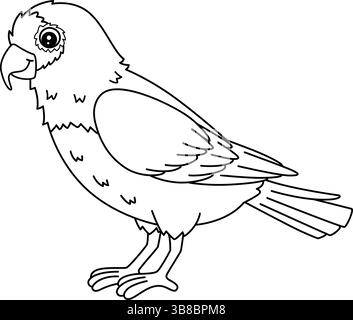 Conure Bird Coloring Page for Kids Stock Vector Image & Art - Alamy