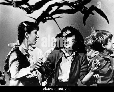 Morgan Brittany, on-set of the film, "The Birds", Universal Pictures ...