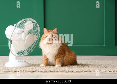 Funny cat and electric fan against light blue wall Stock Photo - Alamy