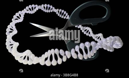A 3d rendering of plasmid DNA and scissors. CRISPR-Cas9 acts as ...