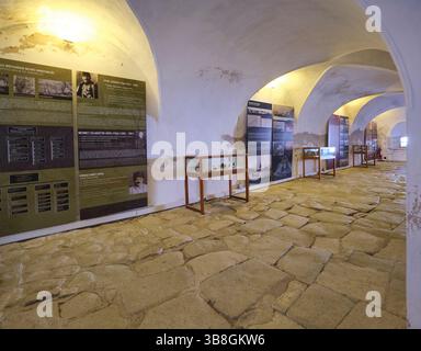Interior view of the collection. At the Namazgah Bastion Turkish ...