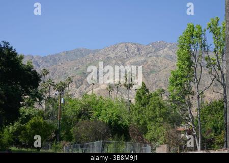 Altadena, California, USA 7th May 2025 Altadena aftermath and cleanup ...