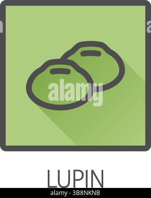 Lupin Bean Legume Food Icon Concept Stock Vector Image & Art - Alamy