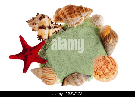Bath anti-cellulitis spa green sea salt isolated with shells and ...