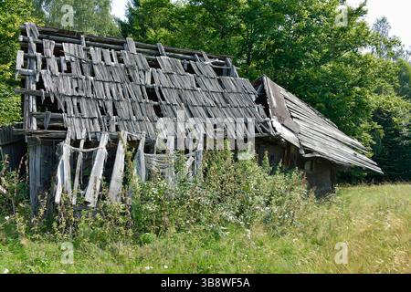 Old wooden cabin with severely collapsed roof and leaning walls on a ...