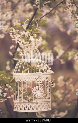 Bird cage on the cherry blossom tree in sunset. Vintage toned Stock ...