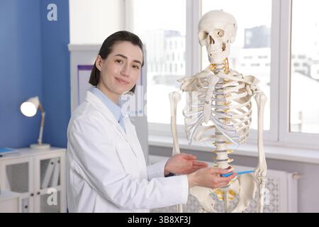 Doctor pointing at sections of human skeleton model in clinic Stock ...