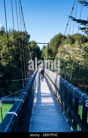 Rainbow Reach suspension bridge, Kepler Track, Te Anau, Fiordland, New ...