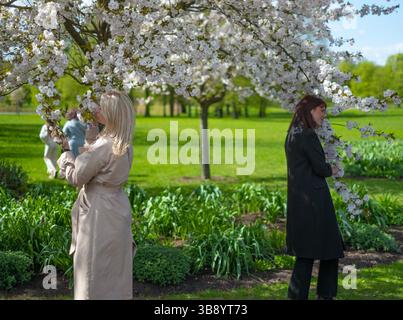 People enjoying spring in Riga, photographing with blooming flowers ...