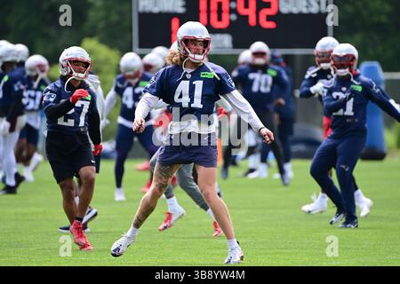 New England Patriots safety Brenden Schooler (41) takes the field prior ...