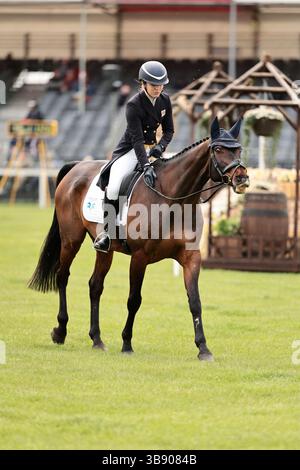Felicity Collins of Great Britain with RSH Contend Or during the ...