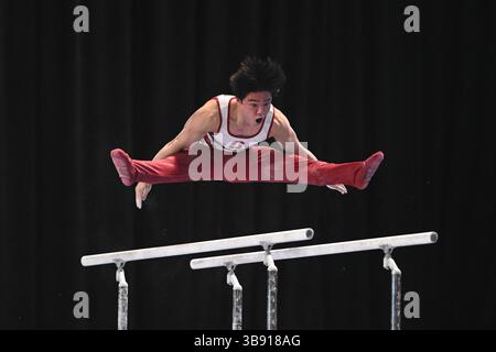 Asher Hong of Stanford University competes on the rings during the ...