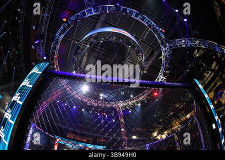 Professional Fighters League (PFL) mixed martial arts welterweight ...