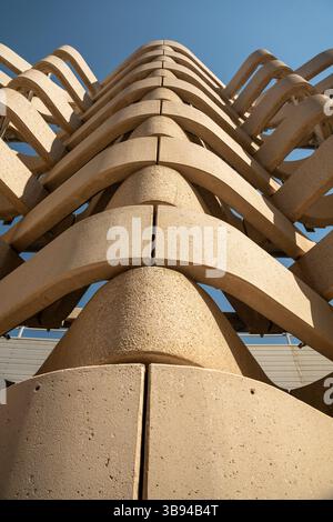 Close up view on beautifully detailed tree bark of oaks and other trees ...
