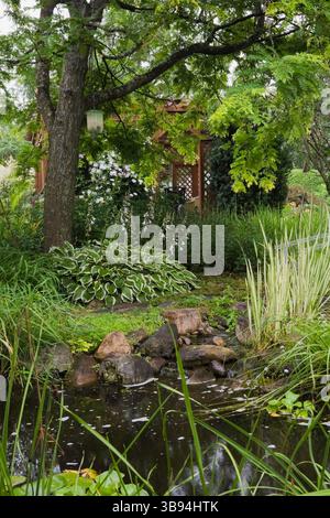 Gleditsia 'Sunburst' - Honeylocust tree underplanted with terracotta ...