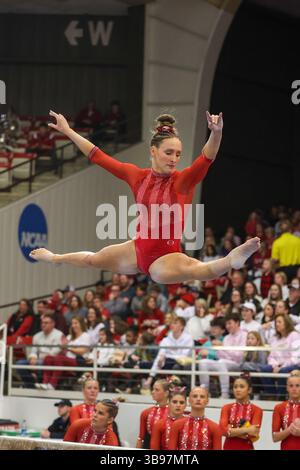 January 27, 2023: Razorback gymnast Frankie Price lands her vault ...