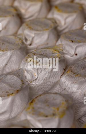 Production of independent springs for mattresses. Independent spring ...