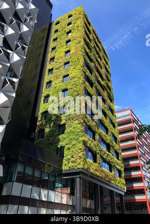 Eden green office building in Manchester / Salford is part of the New ...