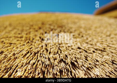 Ecological thatched roofs. Traditional straw roof is sustainable and ...