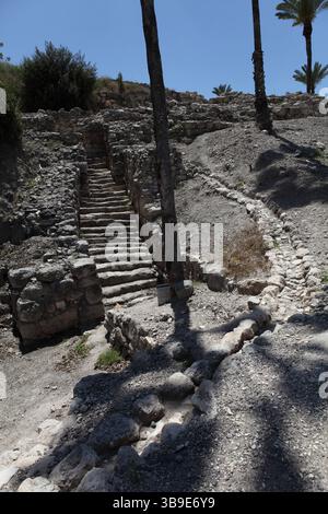 Tel Megiddo, Armageddon, ruins of & steps in a Cana'anite rulers Palace ...