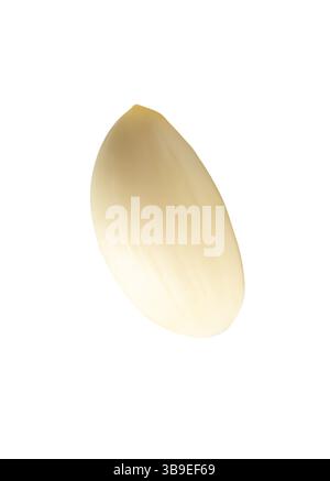 Side view of single peeled garlic clove or piece is isolated on white ...