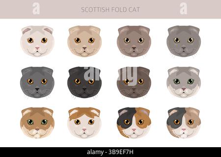 Scottish Fold Cat clipart. All coat colors set. All cat breeds ...