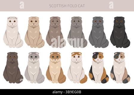Scottish Fold Cat clipart. All coat colors set. All cat breeds ...