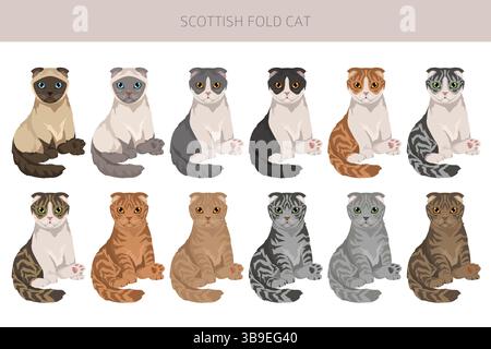 Scottish Fold Cat clipart. All coat colors set. All cat breeds ...