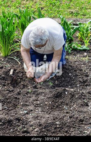 Early Spring planting in green house Stock Photo - Alamy