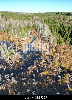 Raised bog in Nova Scotia from above Stock Photo - Alamy