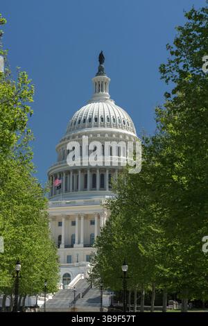 Capitol Building, Washington D. C., USA, 28 April 2025 Stock Photo - Alamy