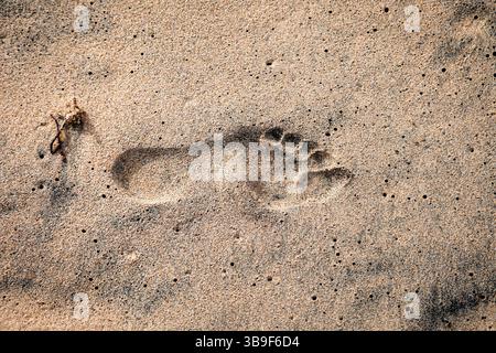 A footstep on the wet sand at the beach Stock Photo - Alamy