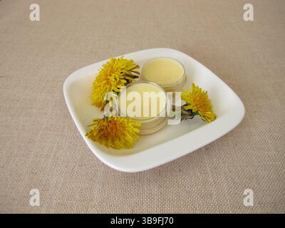 Natural medicines - extract from herbs. Healthy pills, a bottle of ...