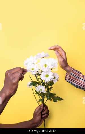A hand delicately holding a bunch of flowers Stock Photo - Alamy