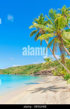 Tropical sandy beach, Drawaqa Island, Yasawa islands, Fiji, South ...