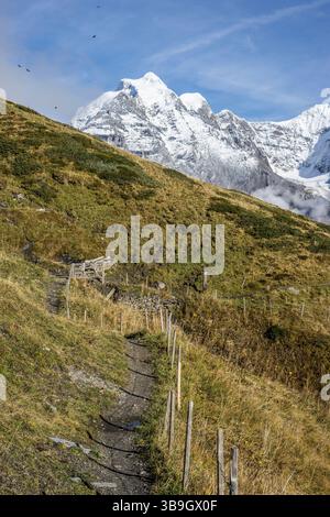 Hiking trail in Mürren with a view of the Eiger, Mürren, Bernese ...